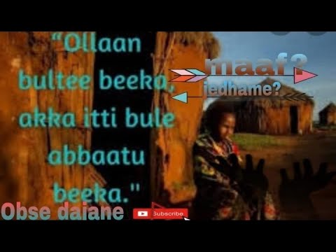 Ollaan bultee beeka akka itti bulee abbaatu beeka - YouTube