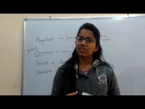 saprotroph | osmotroph | phagotroph | Parasite - YouTube