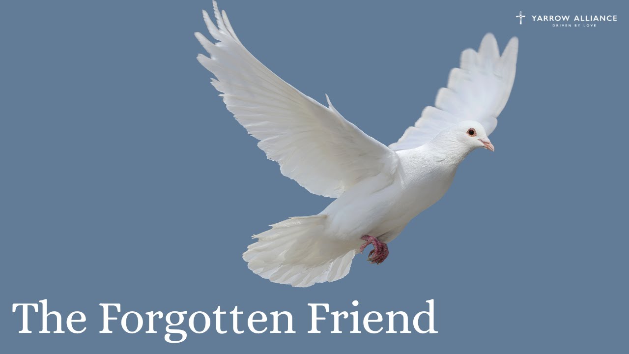 The Forgotten Friend - YouTube