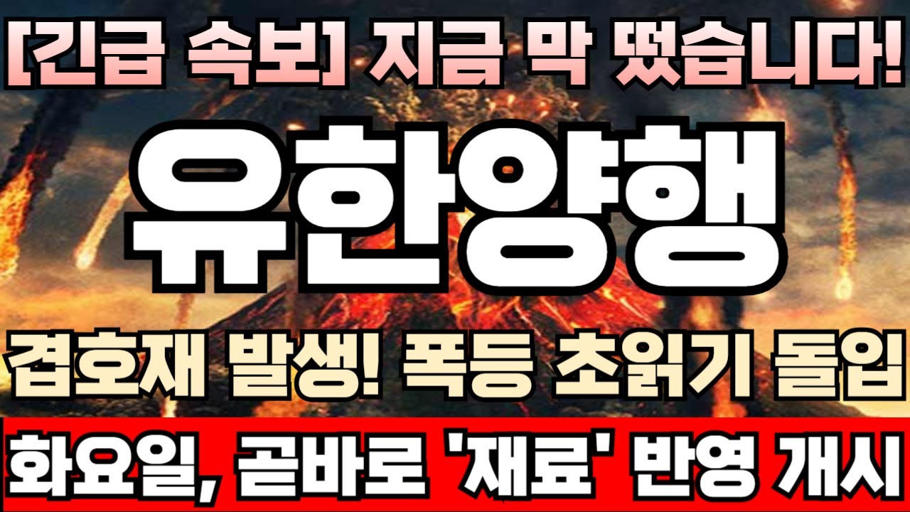유한양행 주가전망 긴급 미노출 ‘제2 렉라자 찾기 본격 돌입 역대급 규모 Randd 투자 예고 자회사 이뮨온시아 연내