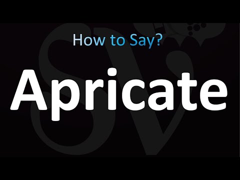 How to Pronounce Apricate (correctly!) - YouTube