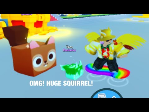 I opened a PET SIMULATOR X COLLECTOR’S BUNDLE and got a HUGE SQUIRREL ...