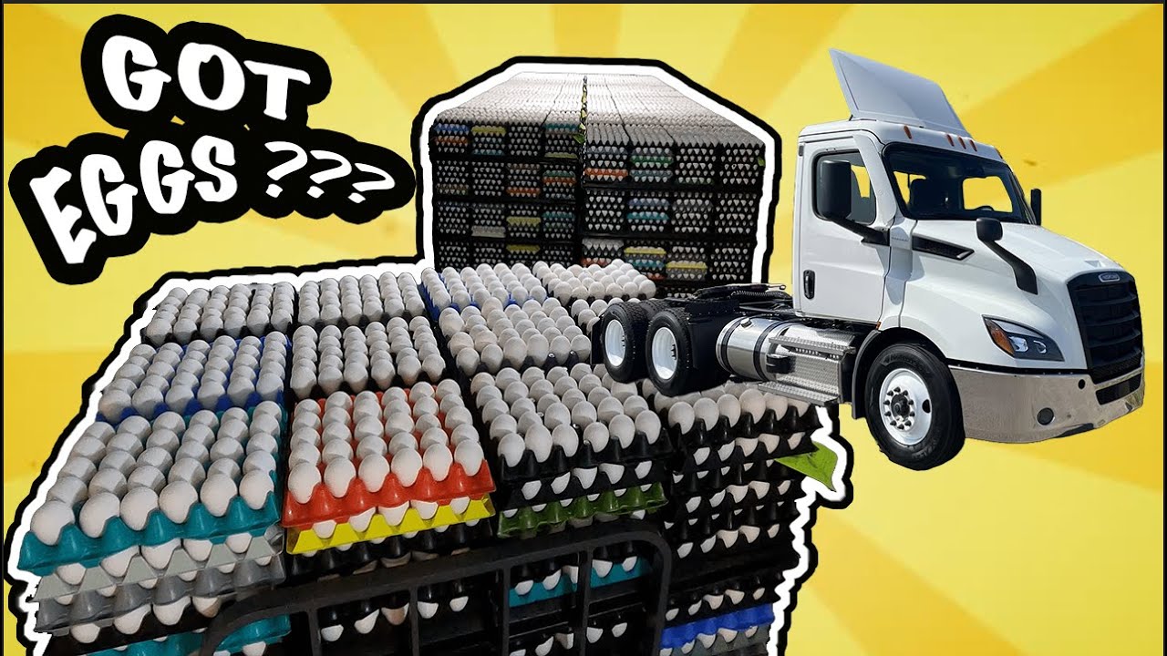 DAY IN THE LIFE : LOCAL TRUCK DRIVER | WHAT ITS LIKE HAULING EGGS ...
