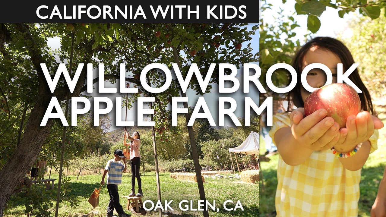 Apple Picking At Willowbrook Apple Farm In Oak Glen, CA - YouTube