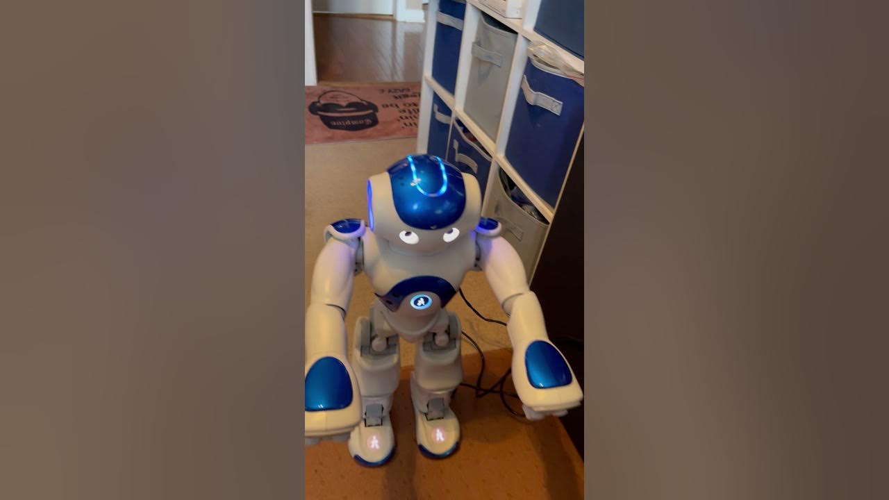 Nao Robot v5 testing basic moves - YouTube