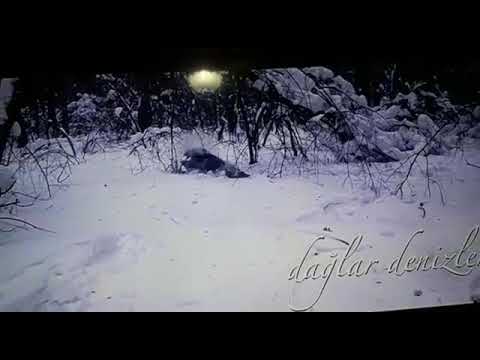 kar yağmış yollara