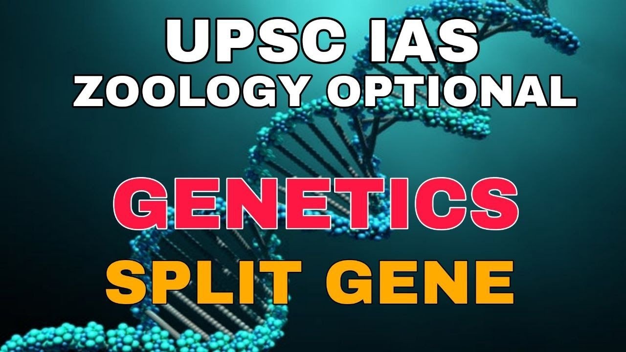 SPLIT GENE || UPSC ZOOLOGY OPTIONAL || UPSC IAS - YouTube