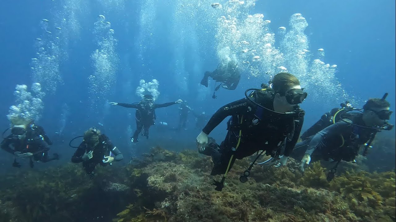 Rottnest Island Dive 1 Francis Cape 18m Dive 2 Roe Reef - YouTube