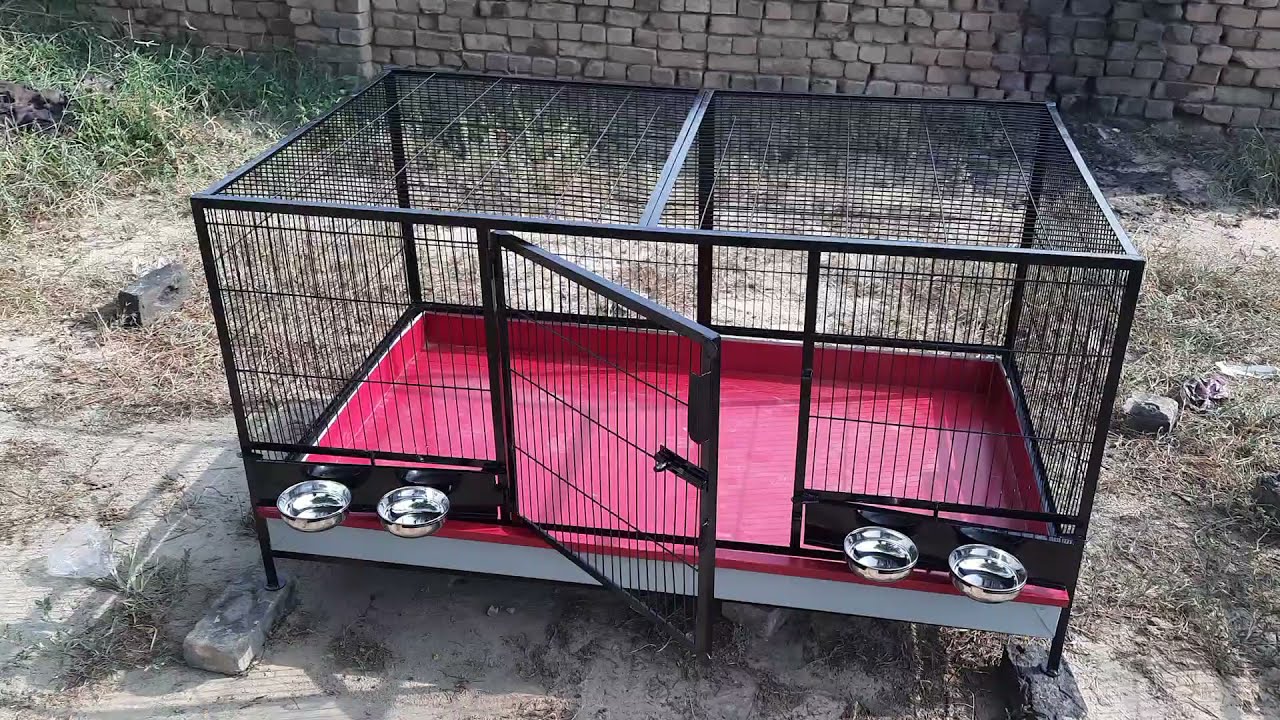 Special Cages For Aseel Lovers With Price , size , And Details//MM CAGE ...