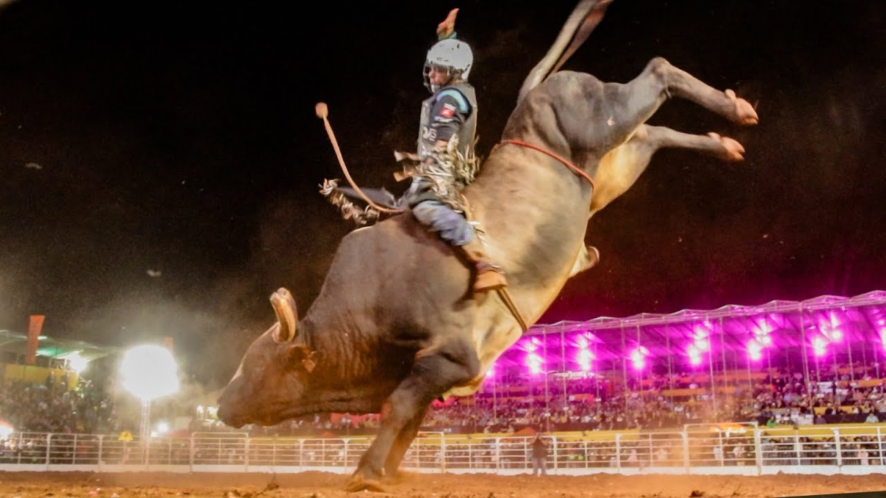 FINAL EM TOUROS - Rodeio de PALMITAL 2025 / FINAL COPA OS VAQUEIROS ...