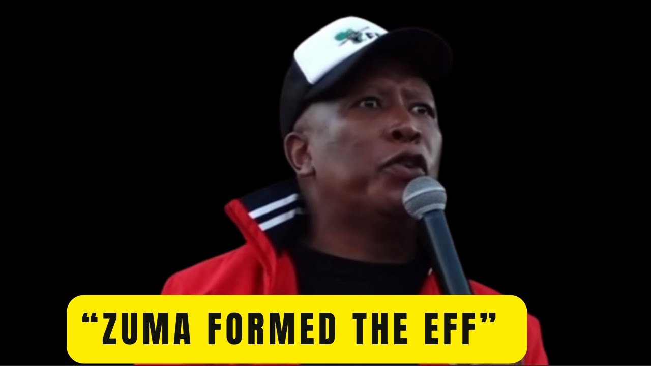 Julius Malema: Zuma formed the EFF - YouTube