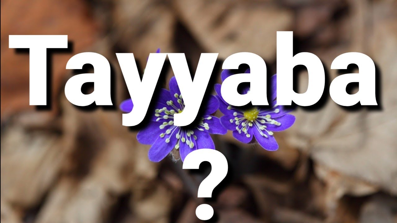 Tayyaba Name Meaning | Tayyaba Name Status | Tayyaba Name WhatsApp ...