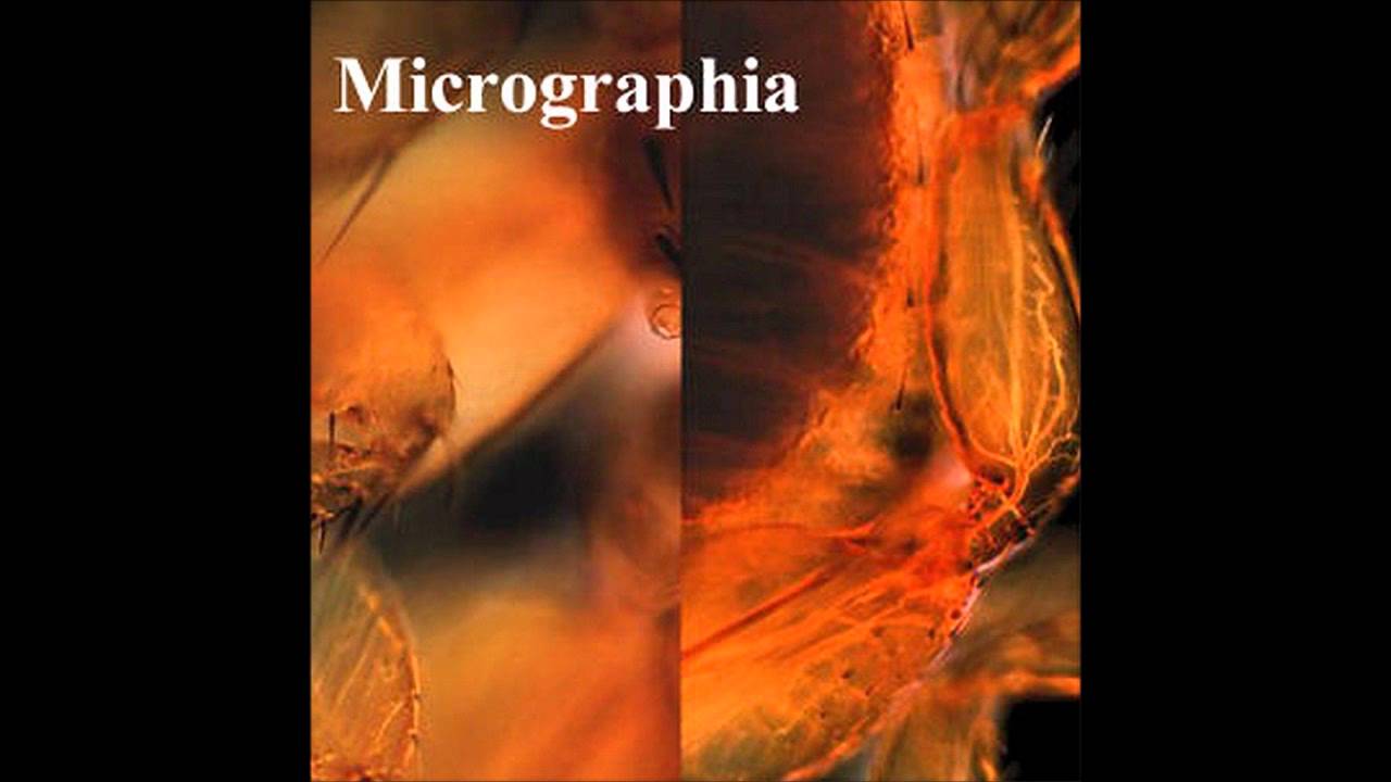 Micrographia Medical