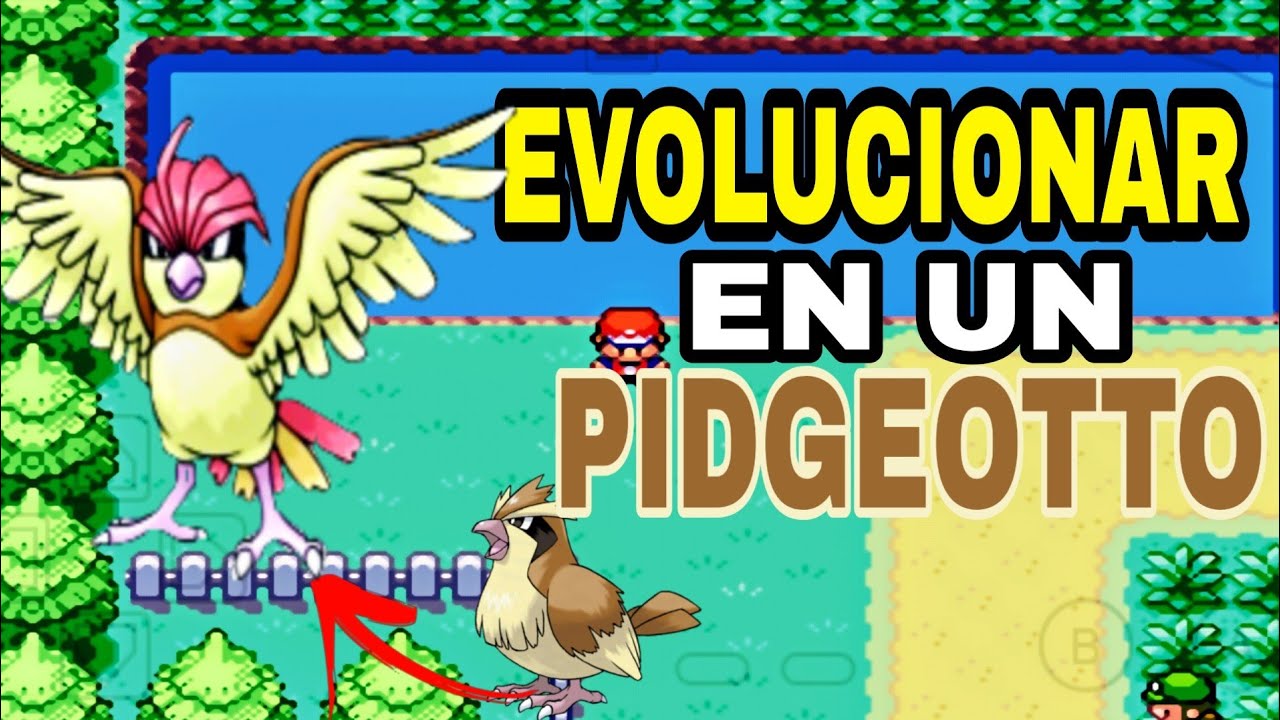 Com Evolucinar un Pidgey a Pidgeotto Pokémon Rojo Fuego - YouTube