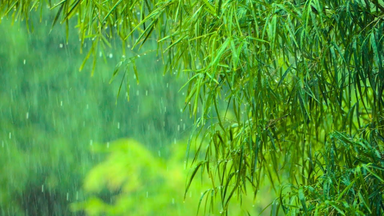 Sonido de LLUVIA SUAVE y RELAJANTE para DORMIR 🎶☔😴 - YouTube