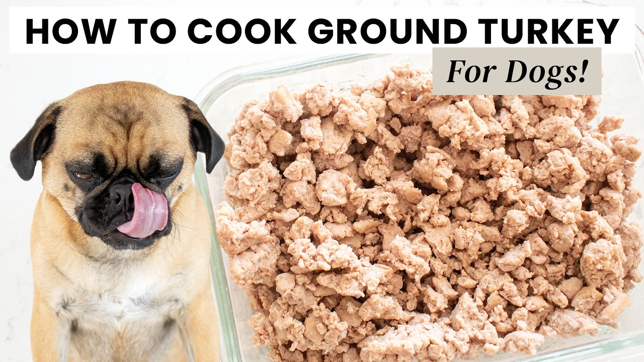How to Cook Ground Turkey for Dogs (Simple, Healthy & Vet-Safe) - YouTube