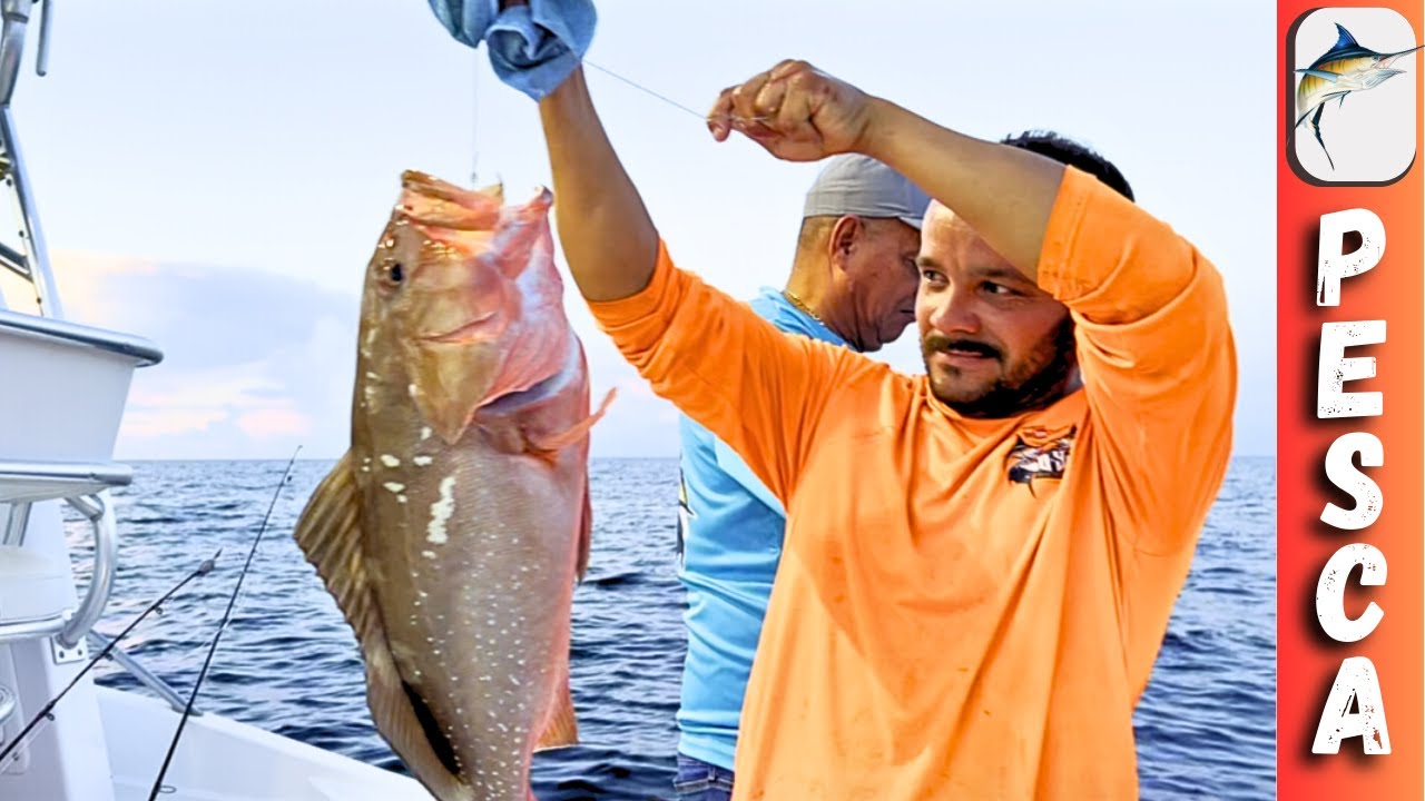 Pesca de Chernas Rojas en ALTA MAR! Red Grouper. - YouTube
