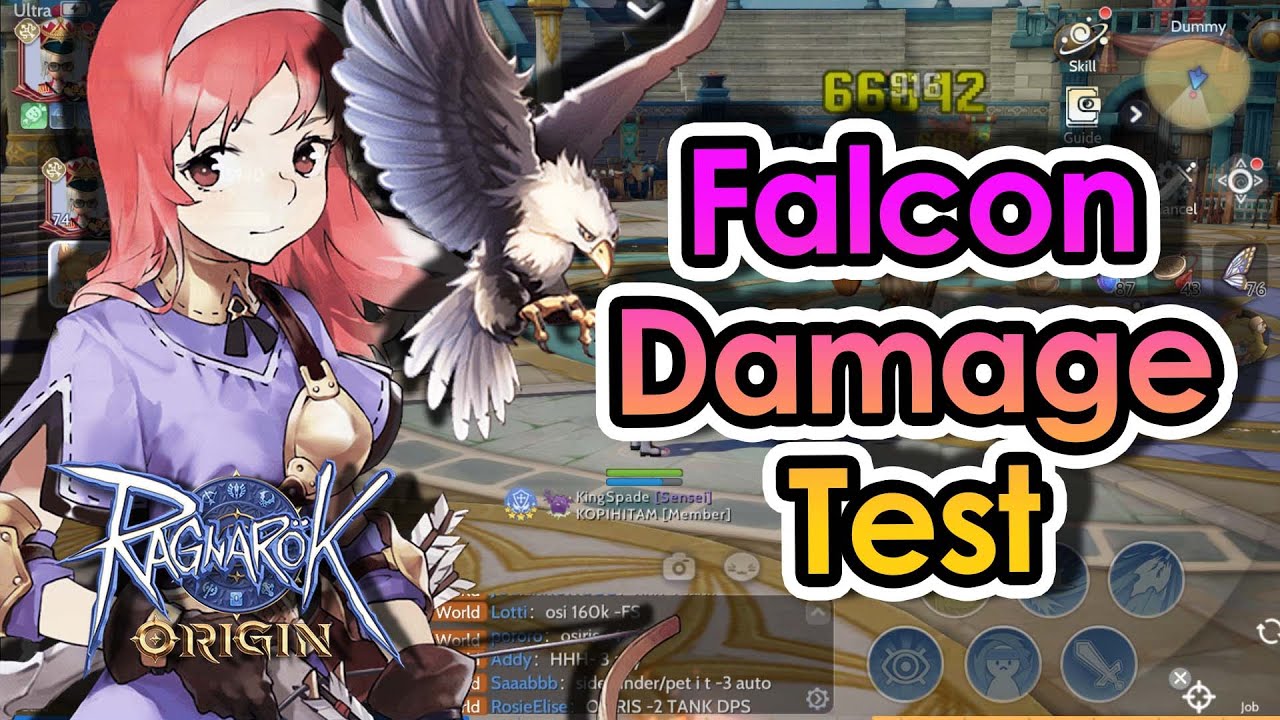 [ROO] What Stat Truly Impacts Falcon Damage? Falcon Damage Test ...