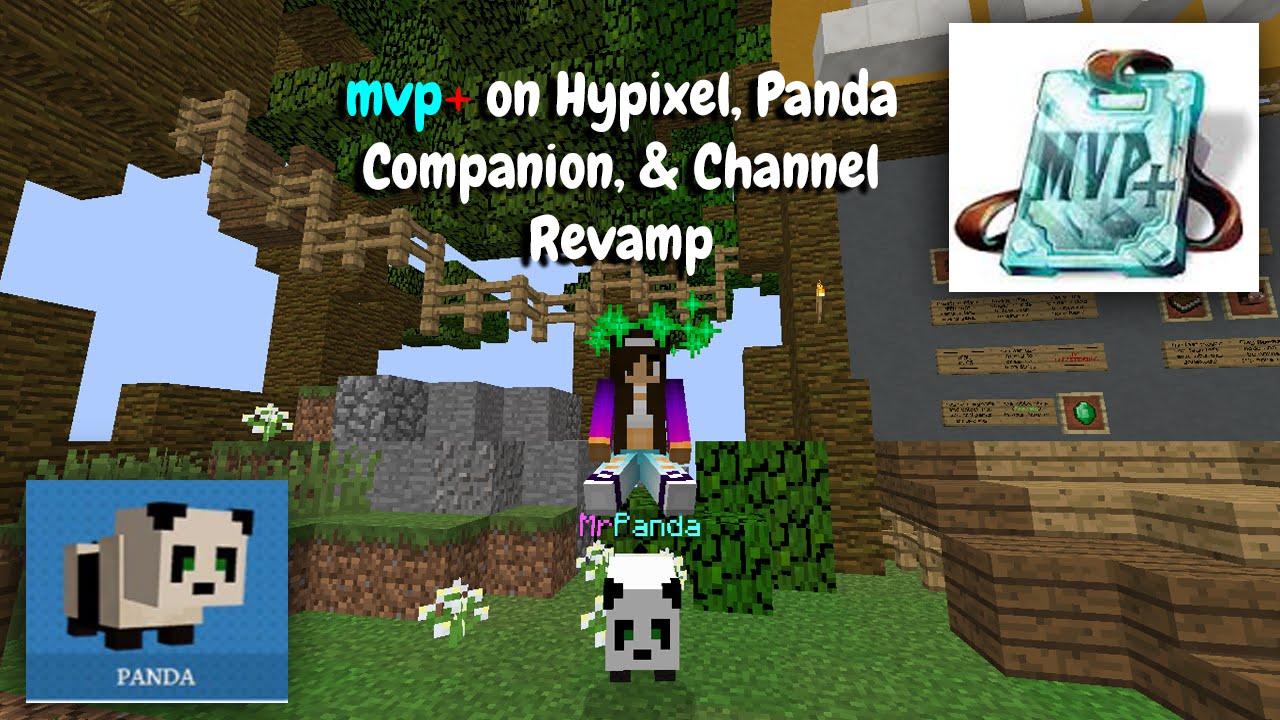 Getting MVP+ On The Hypixel Server, Panda Companion & Channel Revamp ...