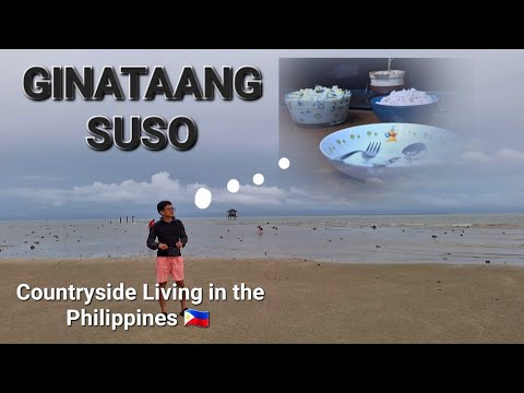 Ginataang Suso | Seashells in Coconut Milk | Countryside Life ...