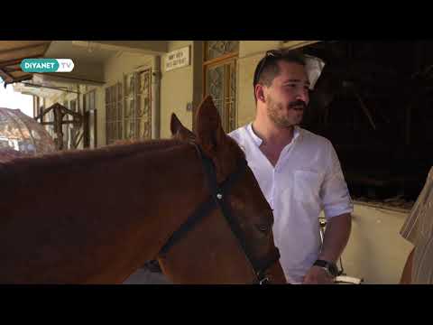 Ahmet Büken (At Arabası Ustası) - Helal Kazancın Alın Teri 19.Bölüm