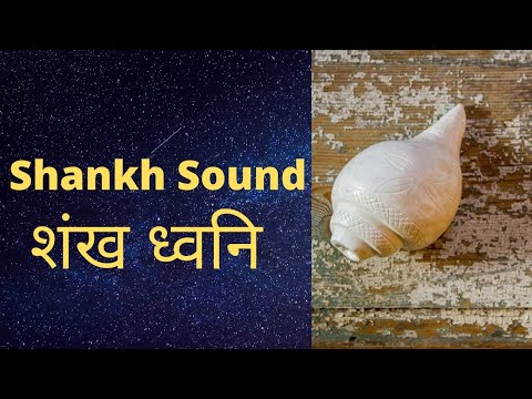 Shankh Dhwani | Shankh Naad | Conch Shell Sound - YouTube