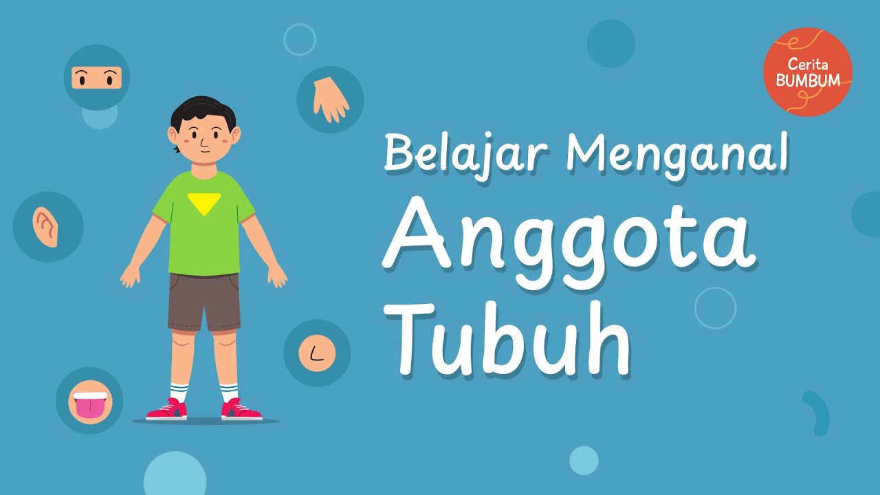 Belajar Mengenal Anggota Tubuh | Bagian Tubuh | Edukasi Anak - YouTube
