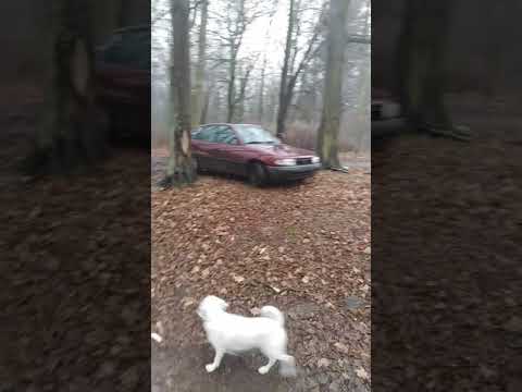 Drift astra f