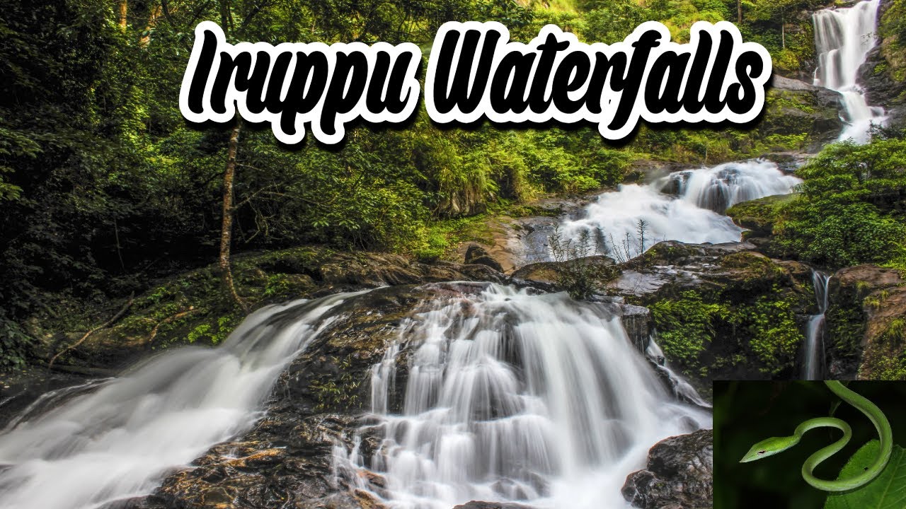 Iruppu Waterfalls | Brahmagiri Wildlife Santuary | Kodagu Waterfalls ...