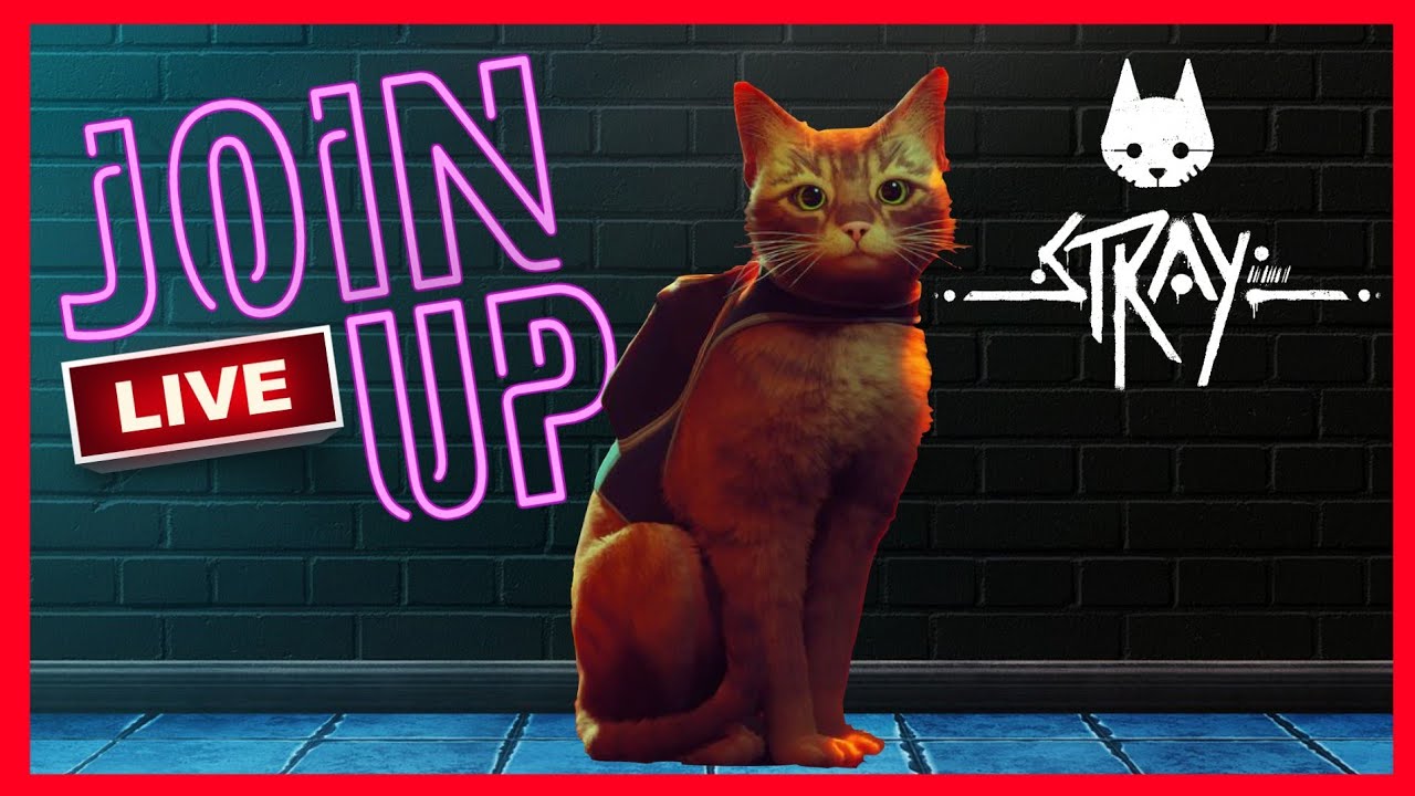 Stray | The Final Episode | 🔴LIVE - YouTube