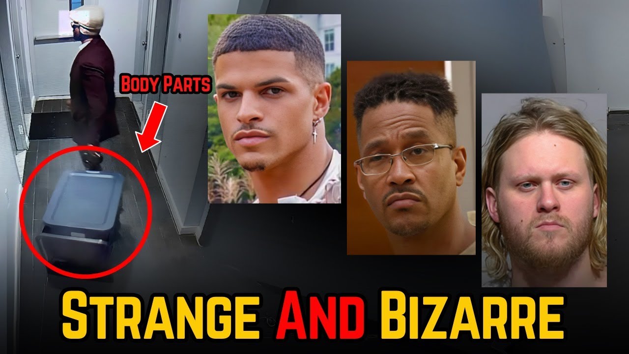 Top 3 Strange and Bizarre Murder Cases That Happened In 2024 - YouTube