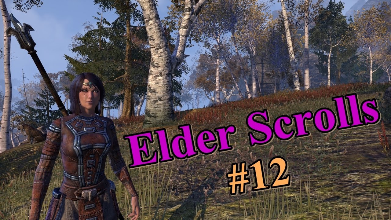 The Elder Scrolls Online - Gameplay 12 ( Duke of Crows ) - YouTube