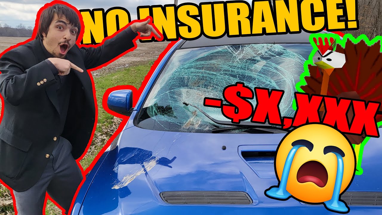 500HP Evo X Vs 70mph Turkey! - YouTube