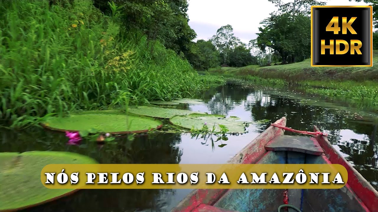 NÓS PELOS RIOS , VIDA REAL DOS RIBEIRINHOS NA AMAZÔNIA - YouTube