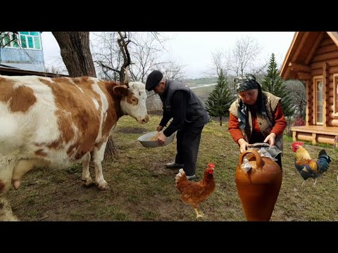 Готовим Настоящее Сливочное Масло и Творог