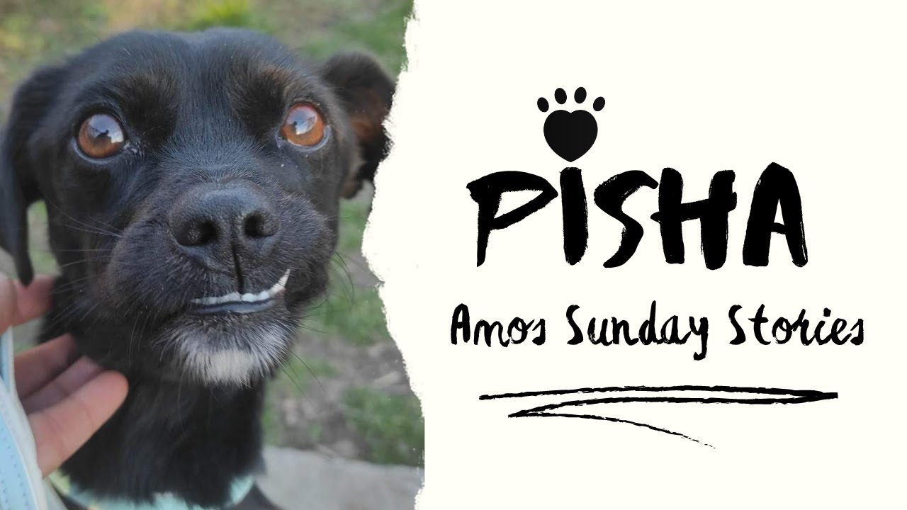 Pisha: From Abandonment And Rejection To Adoption And Belonging - YouTube