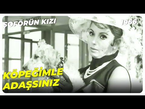 Şoförün Kızı 1965 - Yali Çapkını Tuzağa Düştü | Ayhan Işık Belgin Doruk | Yeşilçam Filmi