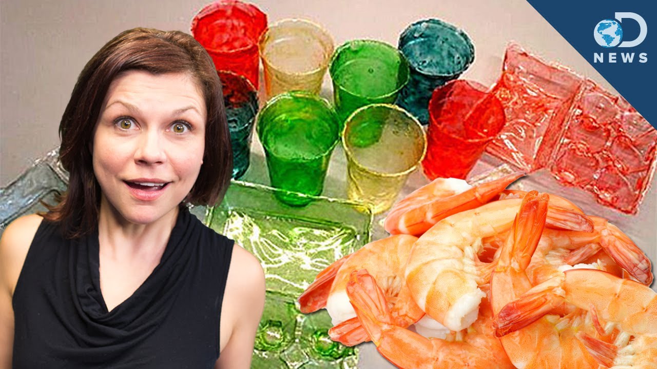 Can We Make Plastic From Shrimp? - YouTube