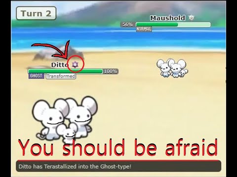 Why you should use a Ditto team in Gen 9 - YouTube