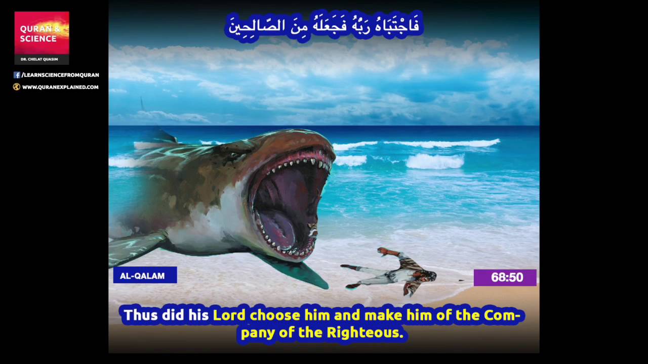 Quran English Translation Chapter 68 41 68 52 Surah Al Qalam