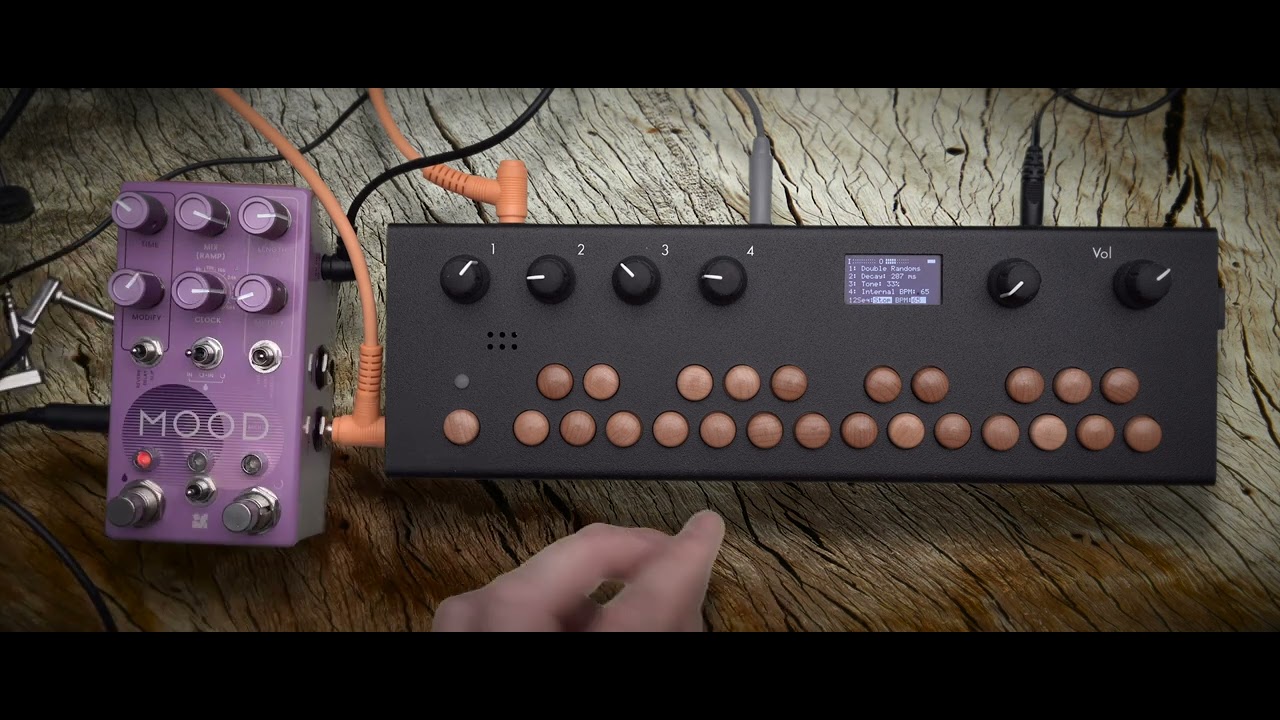 Critter and Guitari Organelle S with Chase Bliss Mood mk2 - YouTube