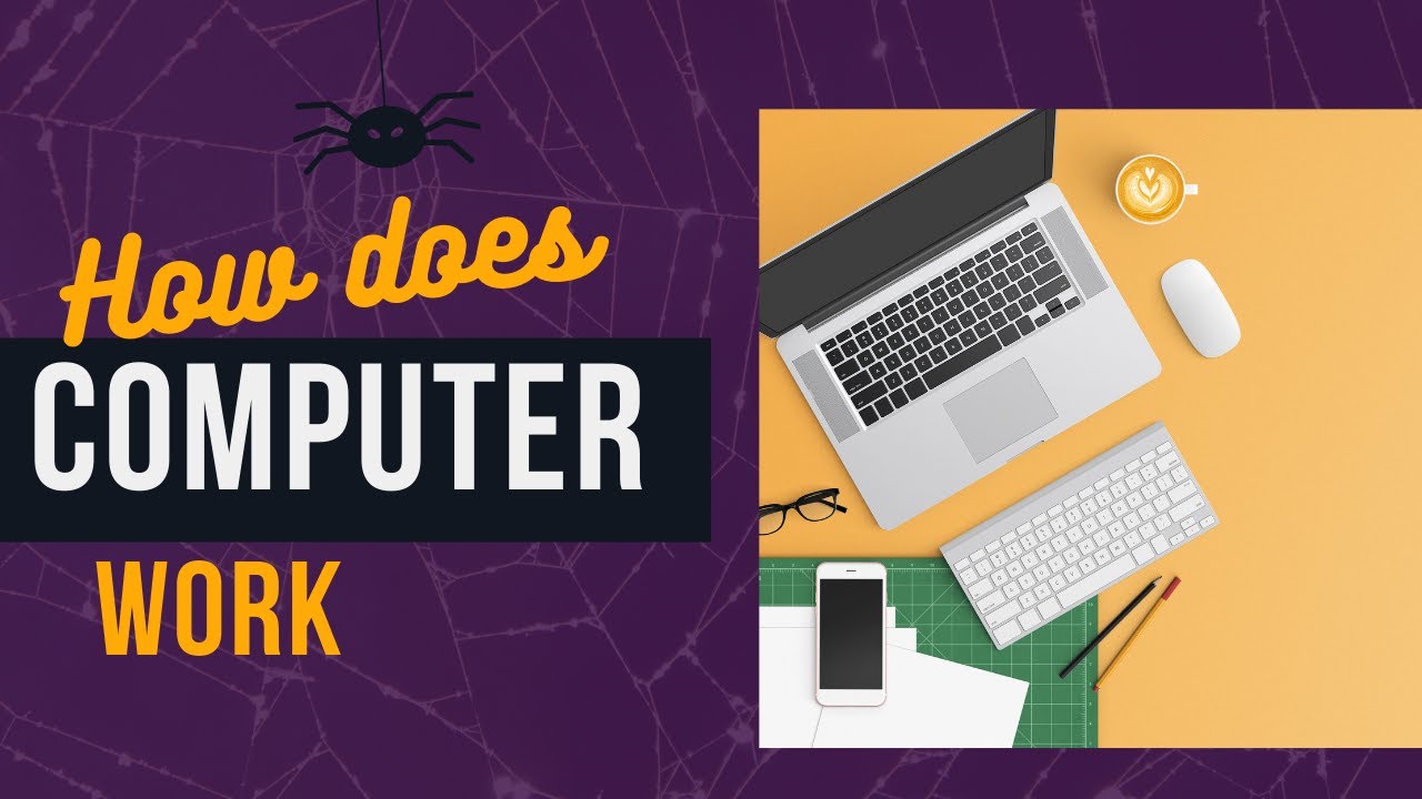 How Does Computer Work Binary And Data Class 11 how-does-computer-work-binary-and-data-class-11