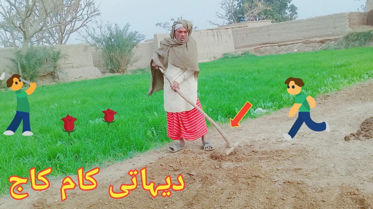 old man is working Pakistan village lifestyle daily Routine and calture ...