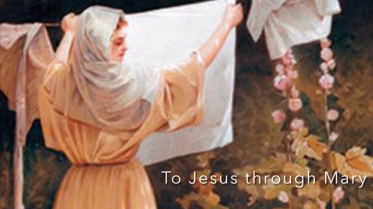 Morning Offering Prayer (with the Brown Scapular) 💕A Great Way for Moms ...