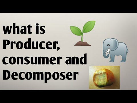 Why Do We Need Innovation In The Nhs | Science-Atlas.com