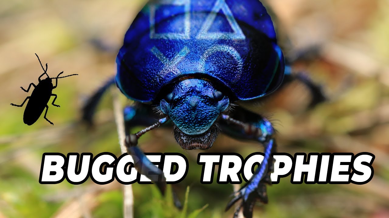 These Trophy Bugs Need Squashing! - YouTube