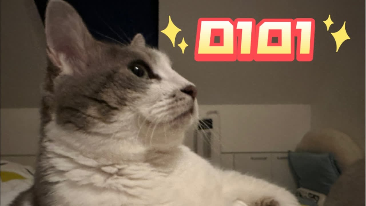 挑战一年运动300天——D101 - YouTube