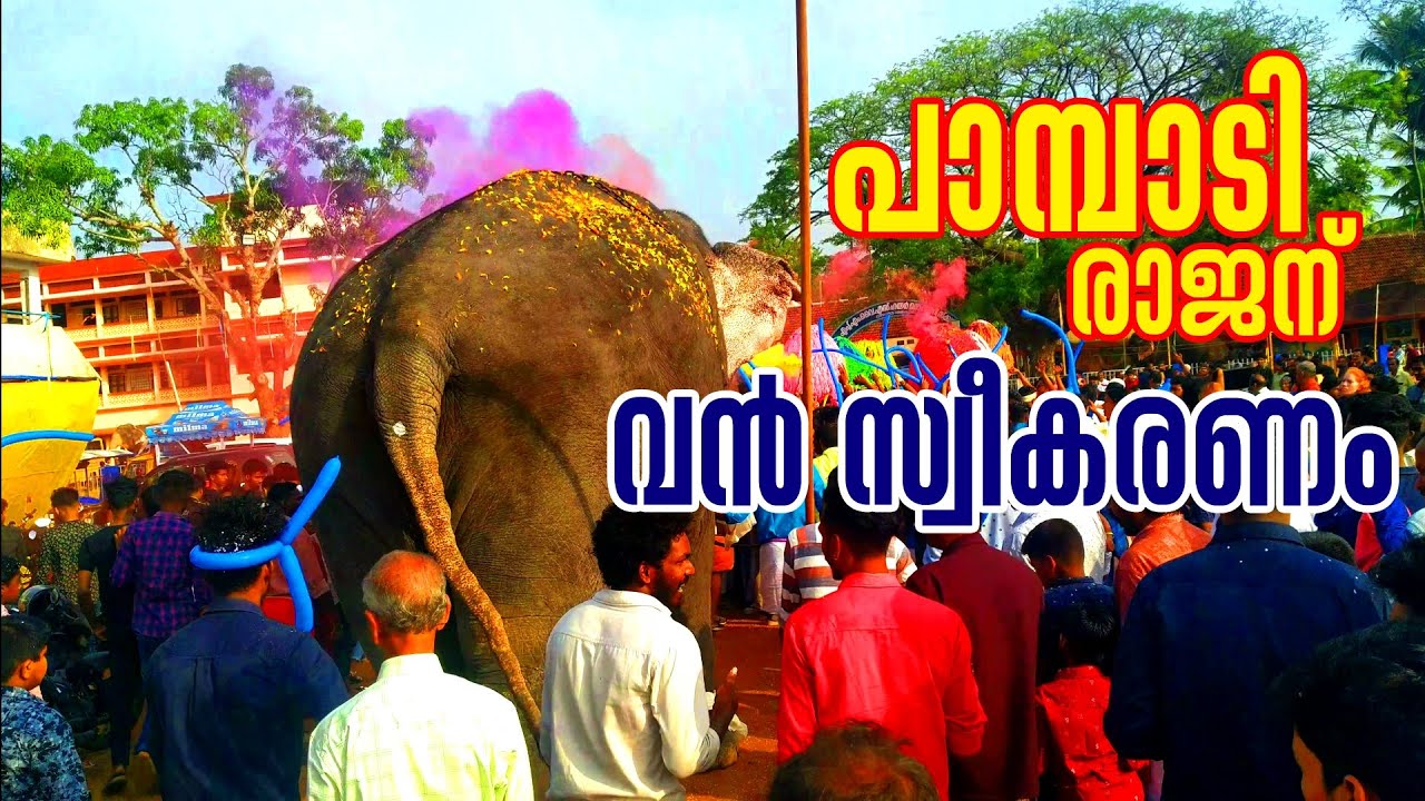 pambadi rajan - YouTube