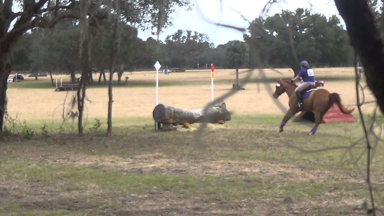 Kat Abrams "Zipp N Zip Bars" Rocking Horse Stables Horse Trials XC/BN 1 ...