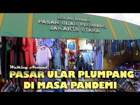 PASAR ULAR DI MASA PANDEMI 2020 ( Walking Around ) - YouTube